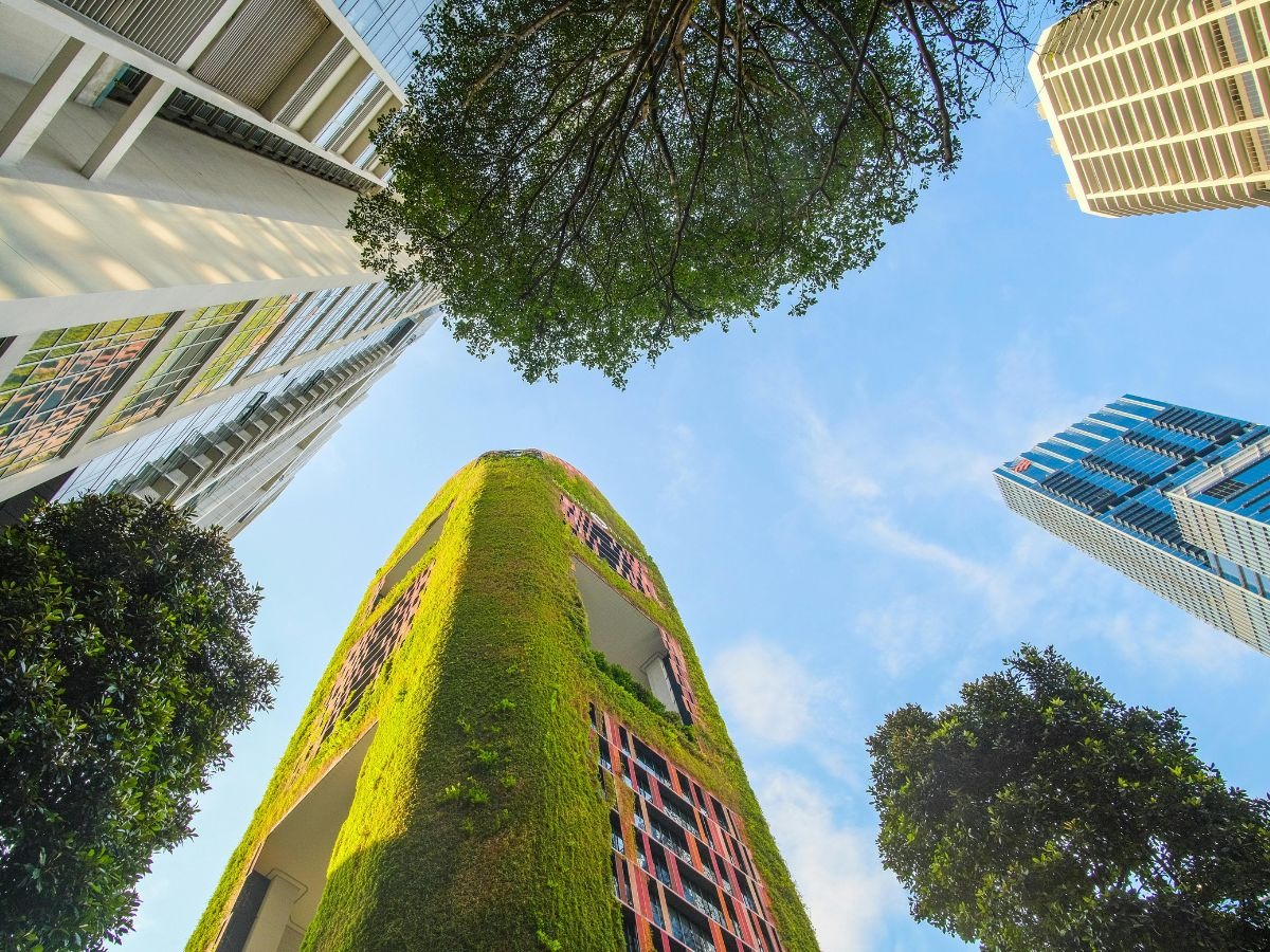 A guide for young Indian architects: Reimagining urban sustainability ...